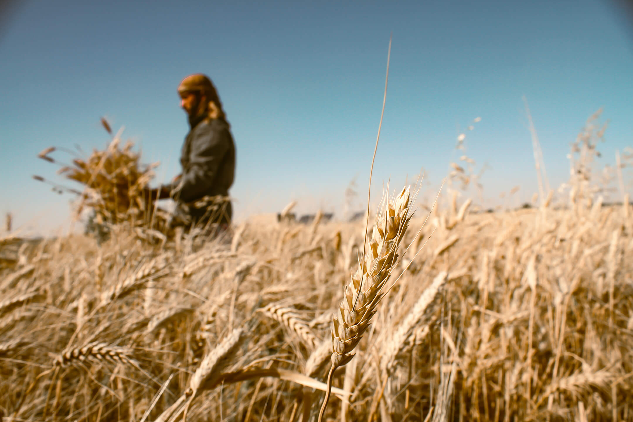 IDMC | GRID 2023 | 2023 Global Report on Internal Displacement